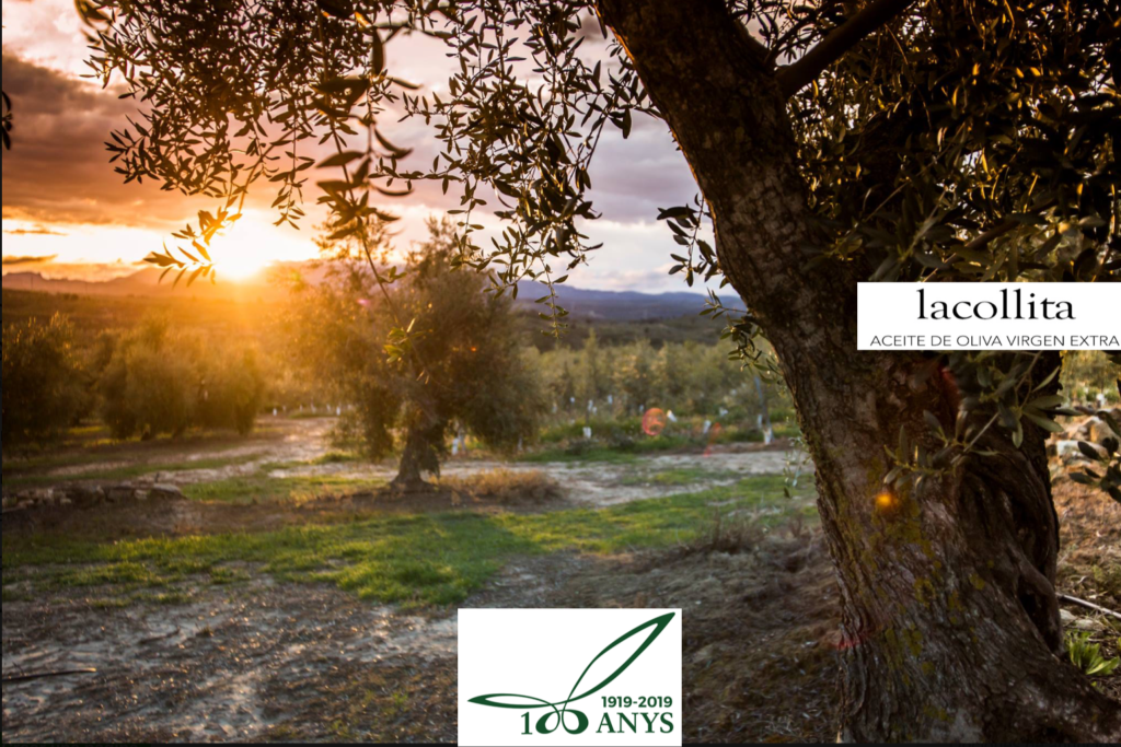 La Collita Aceite de Oliva Virgen extra de alta calidad