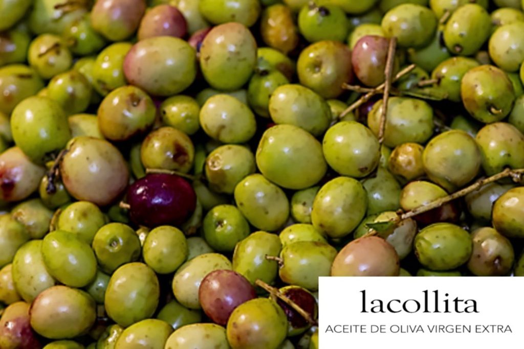 Aceite de oliva virgen extra Barcelona Aceite de Oliva Virgen extra de ...